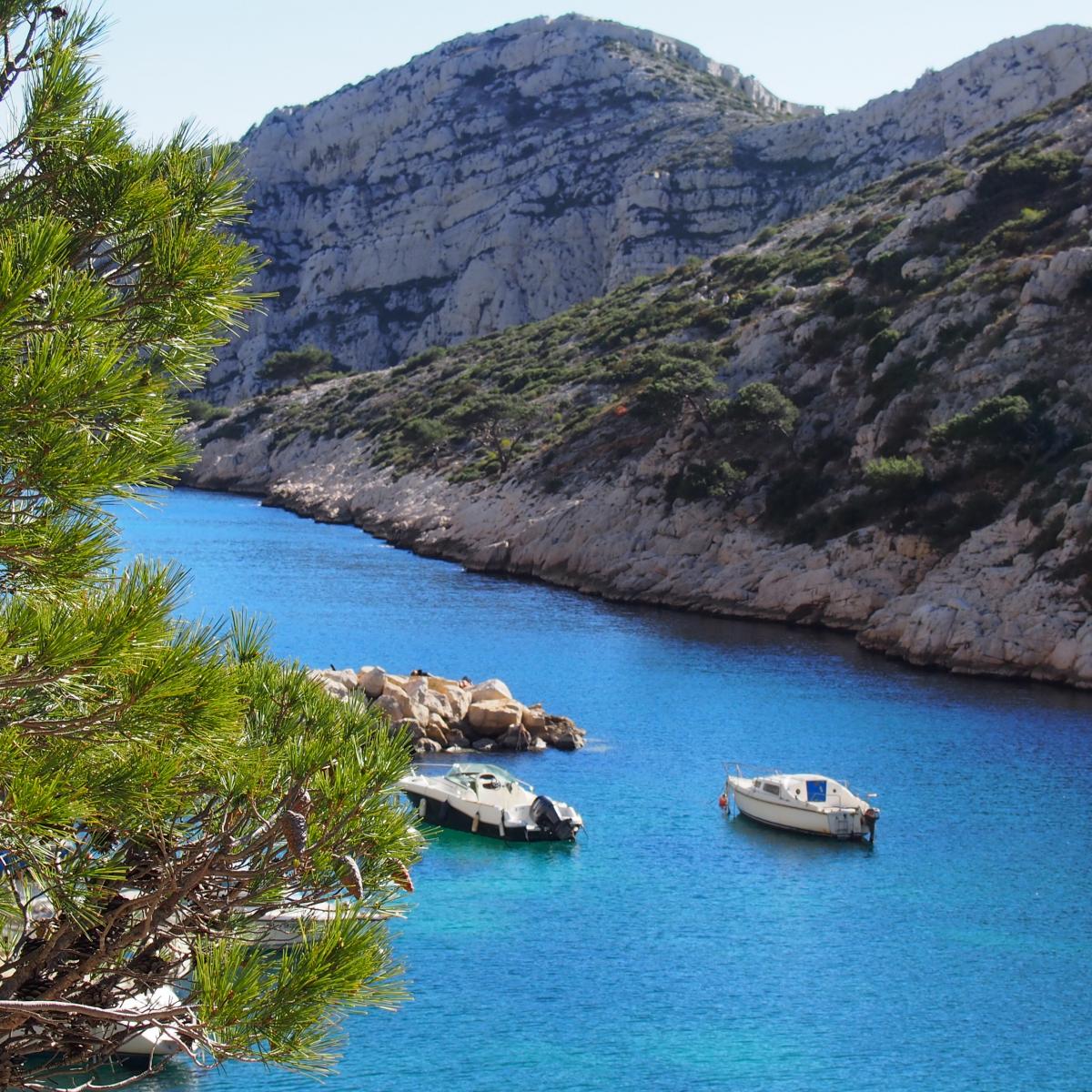 The Calanques of Marseille | Marseille Tourism