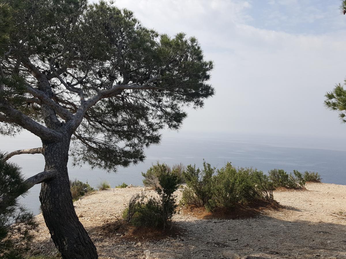 Hiking on the Côte Bleue | Marseille Tourism
