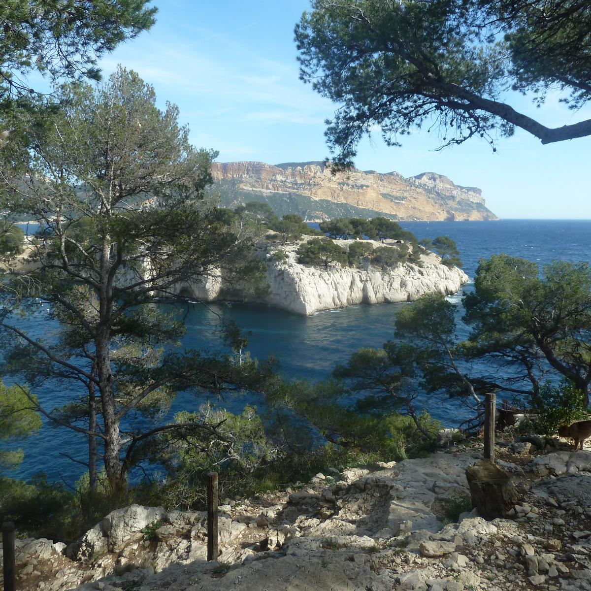 Accès aux Calanques | Marseille Tourisme