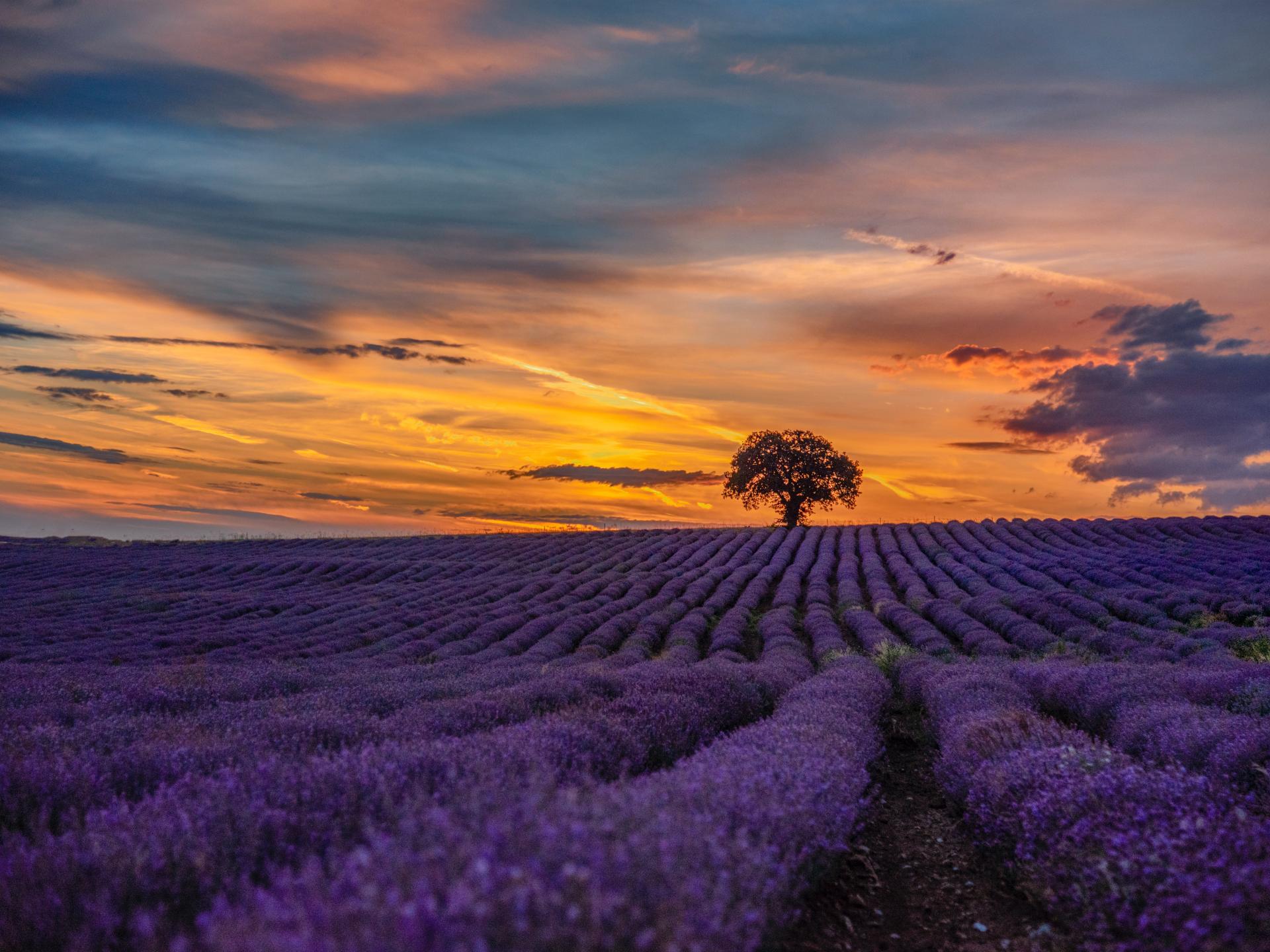 Marseille Experience: booking activities | Marseille Tourist Office