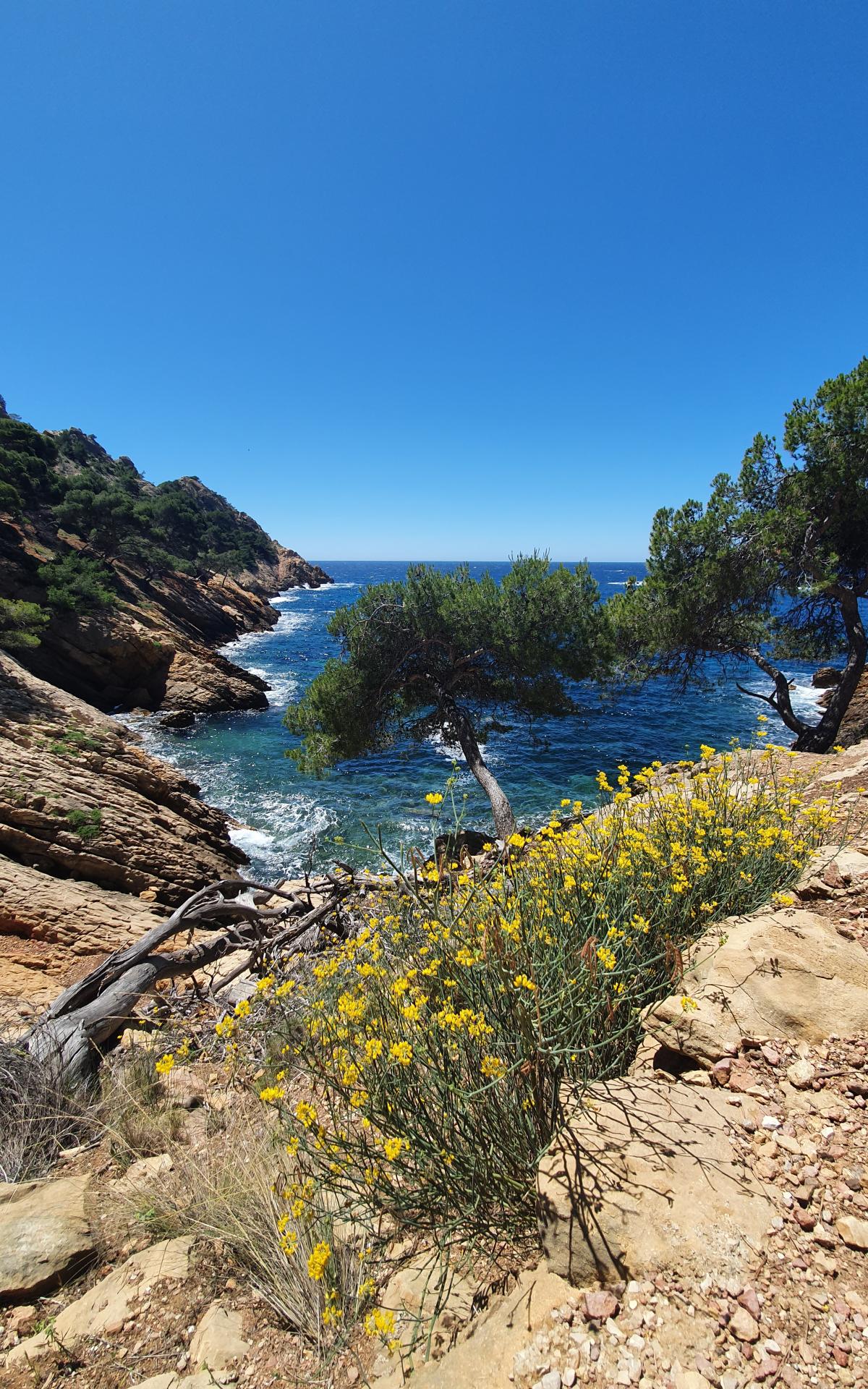 La Calanque de Méjean | Site officiel de l’Office de Tourisme de Marseille