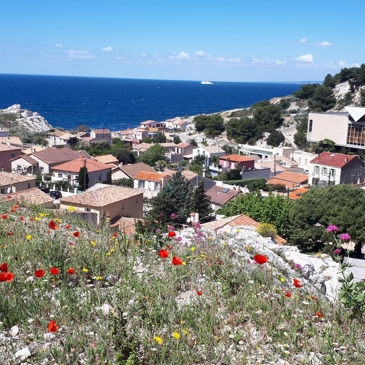 La Calanque de Marseilleveyre | Office de Tourisme de Marseille