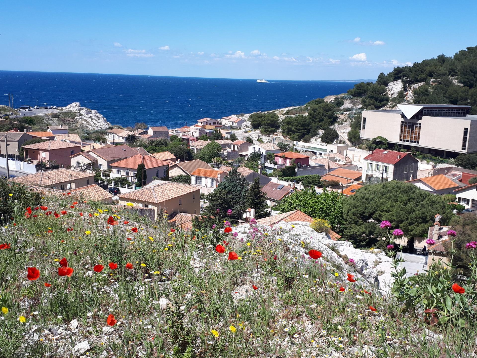 Le Parc National des Calanques | Office de Tourisme de Marseille