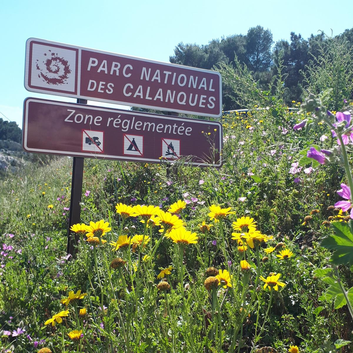 Le Parc National des Calanques | Office de Tourisme de Marseille