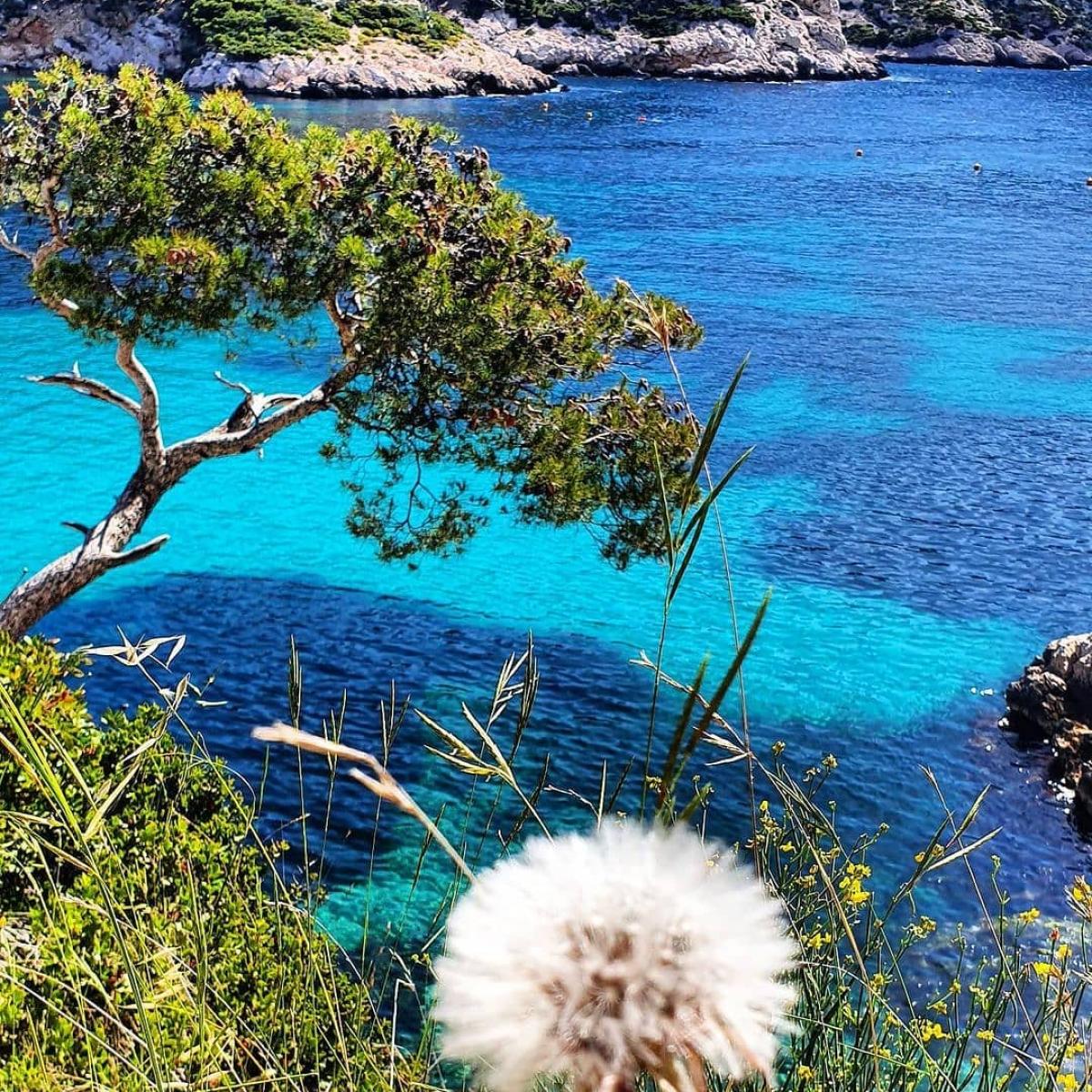 Les calanques de Marseille | Office de Tourisme de Marseille