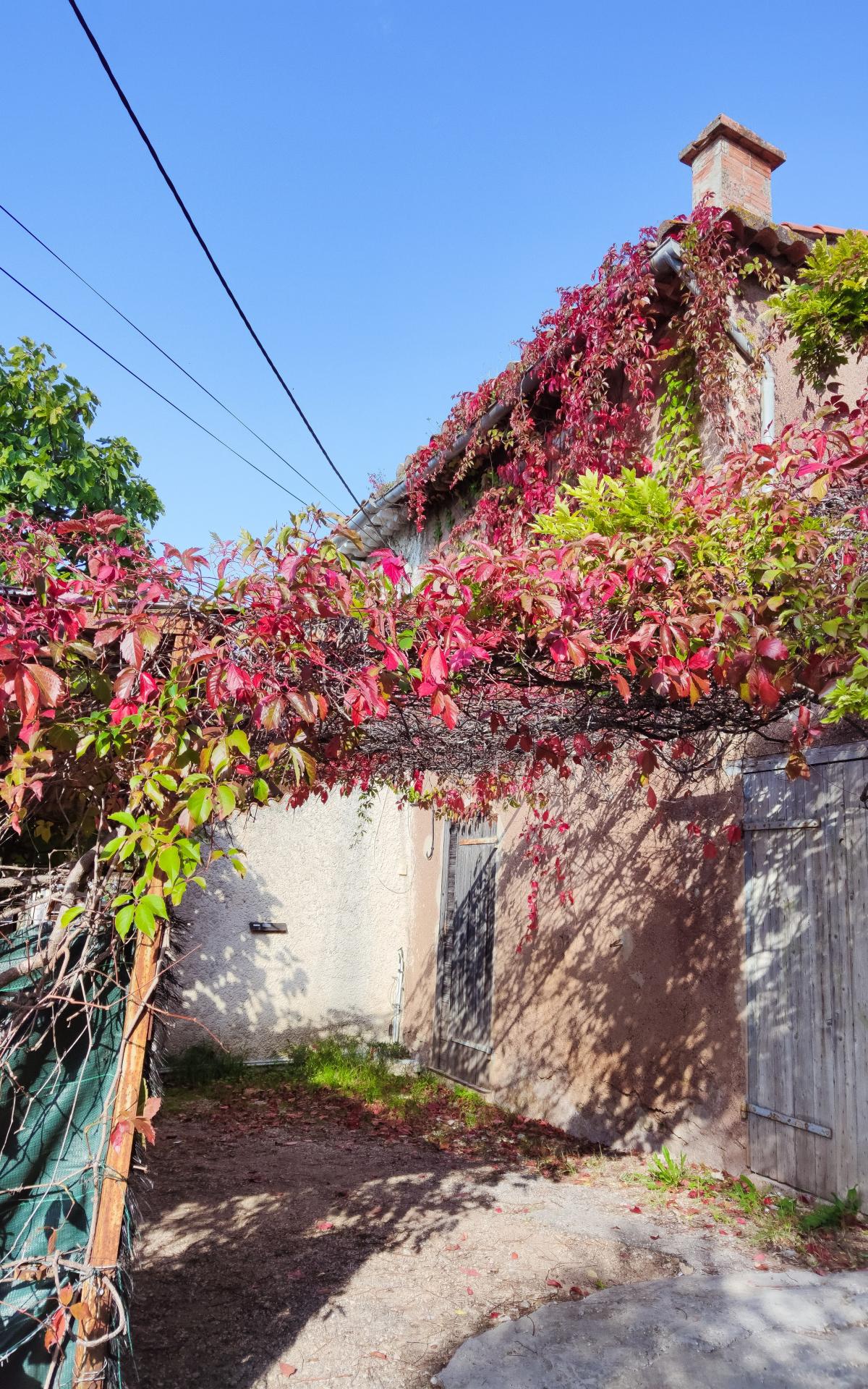 Guided tours Marseille | Marseille Tourism