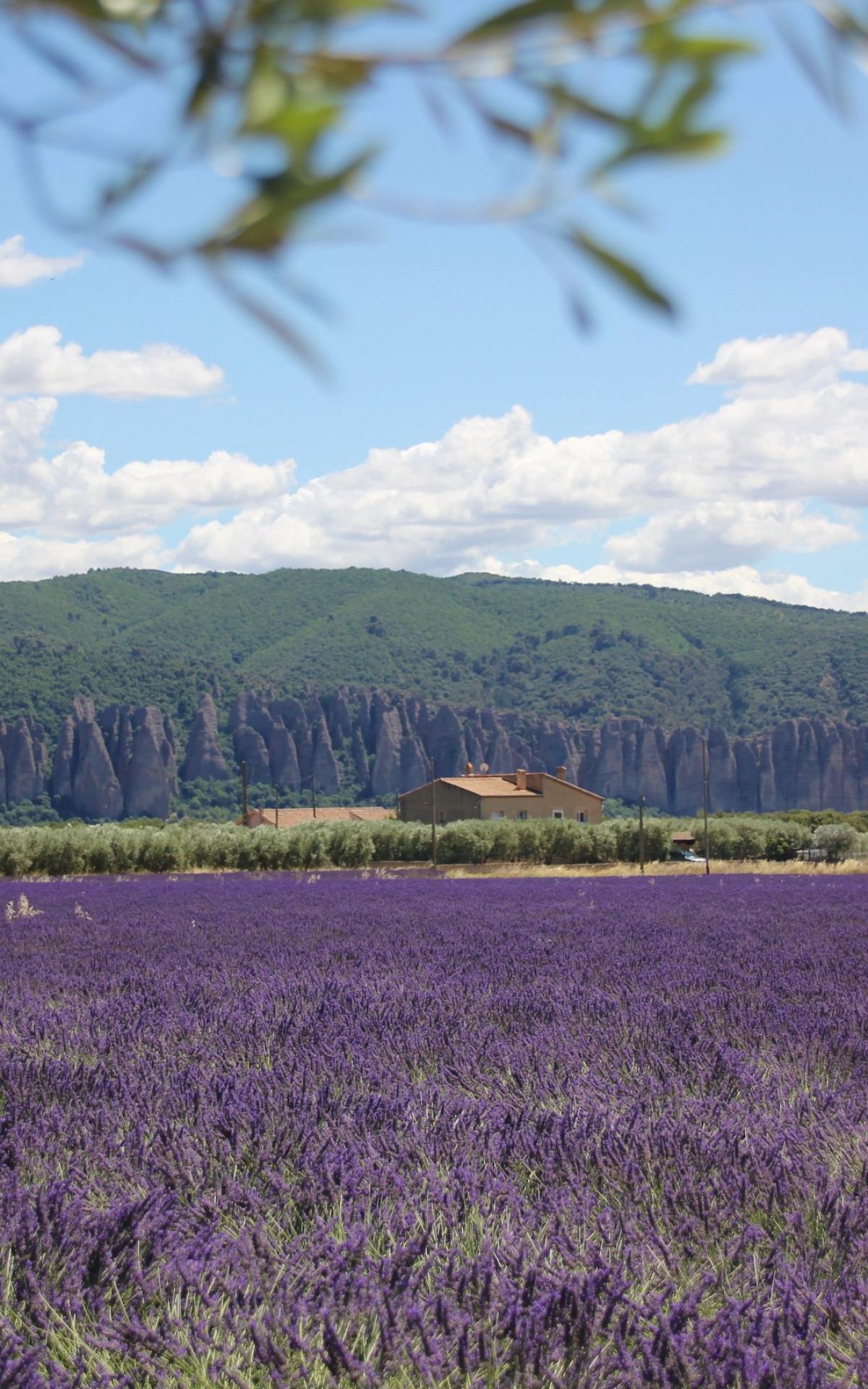 Visit Provence | Marseille Tourism