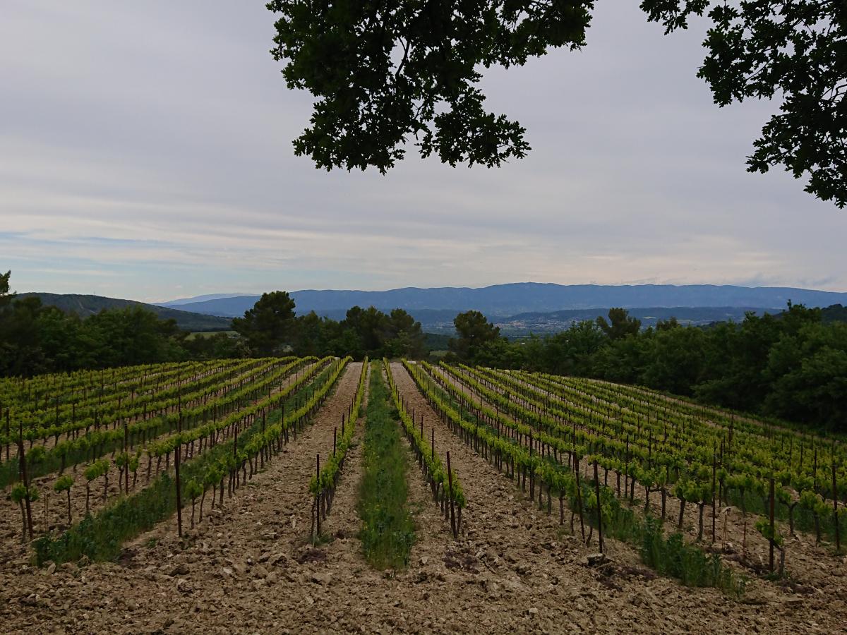 Visit Aix-en-Provence from Marseille | Marseille Tourism