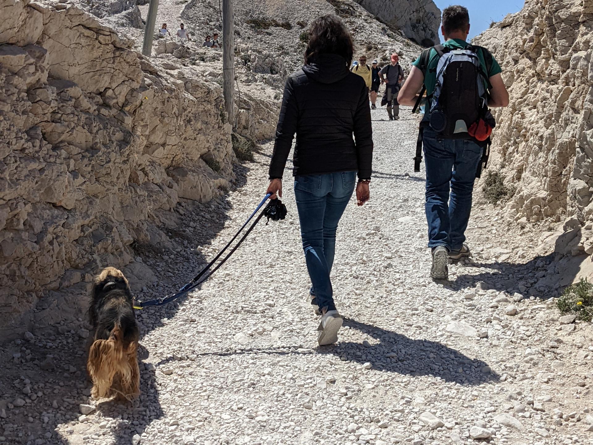 Visiter Marseille avec un chien | Office de Tourisme de Marseille