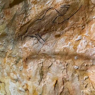 The Cosquer cave, a major world site of cave art | Marseille Tourism