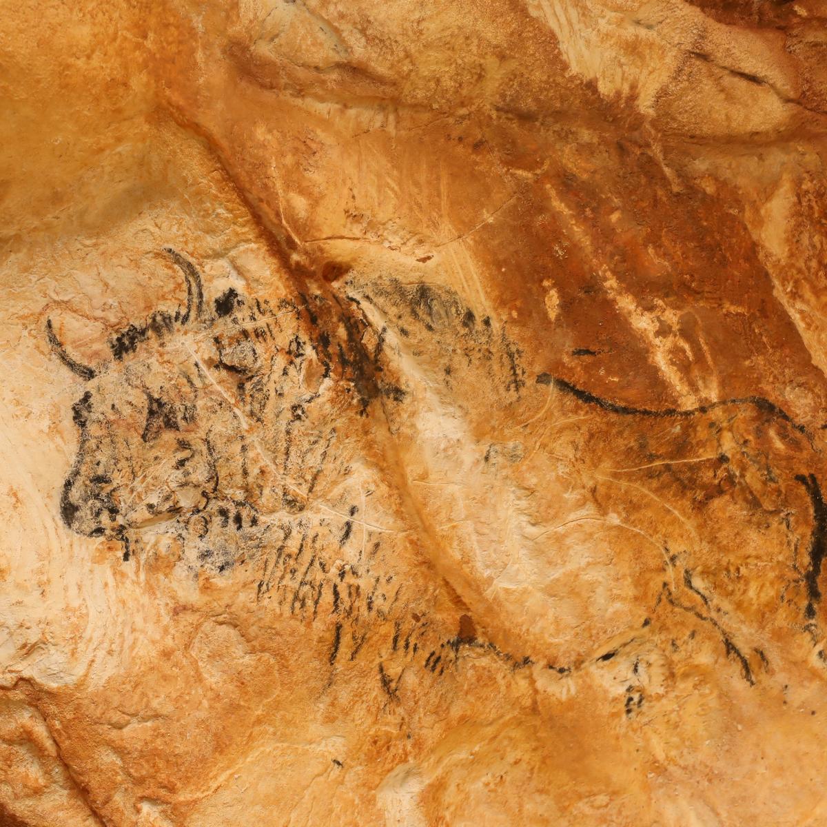 The Cosquer cave, a major world site of cave art | Marseille Tourism