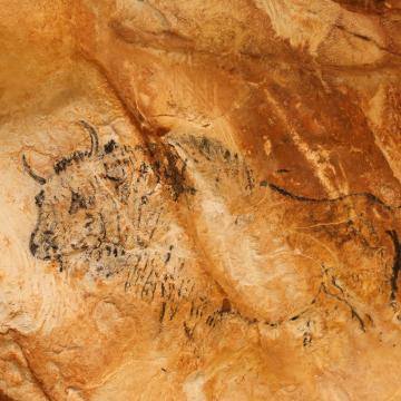 The Cosquer cave, a major world site of cave art | Marseille Tourism