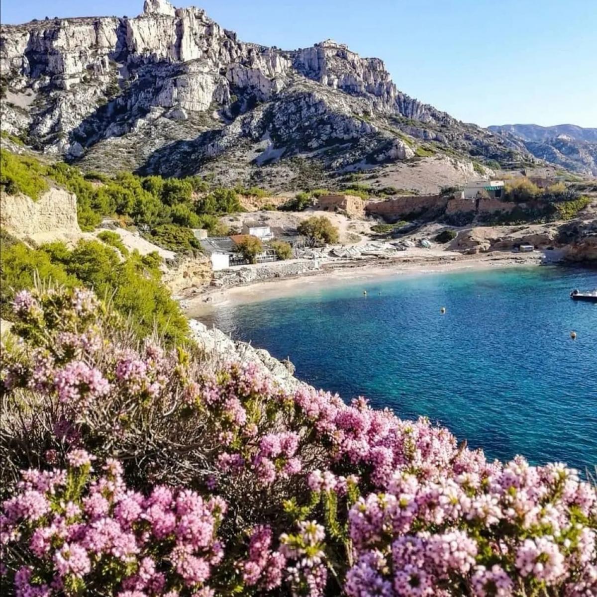 Booking activities in Marseille: excursions, guided tours