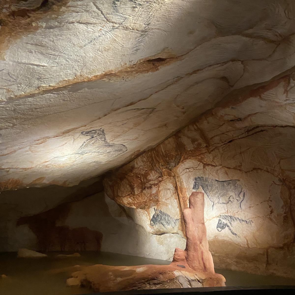 The Cosquer cave, a major world site of cave art | Marseille Tourism