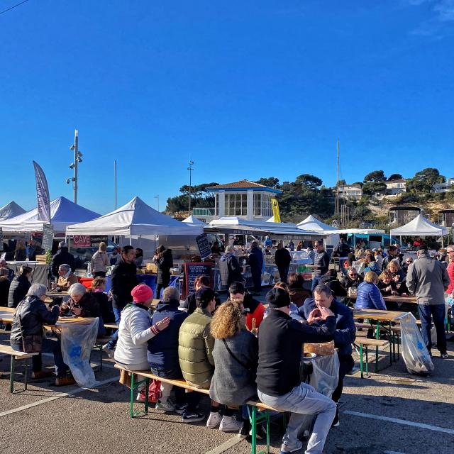Les oursinades à Marseille | Office de Tourisme de Marseille