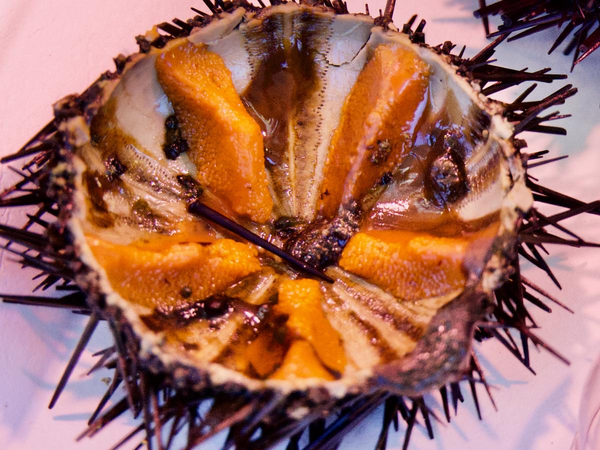 The “oursinades” in Marseille | Marseille Tourism