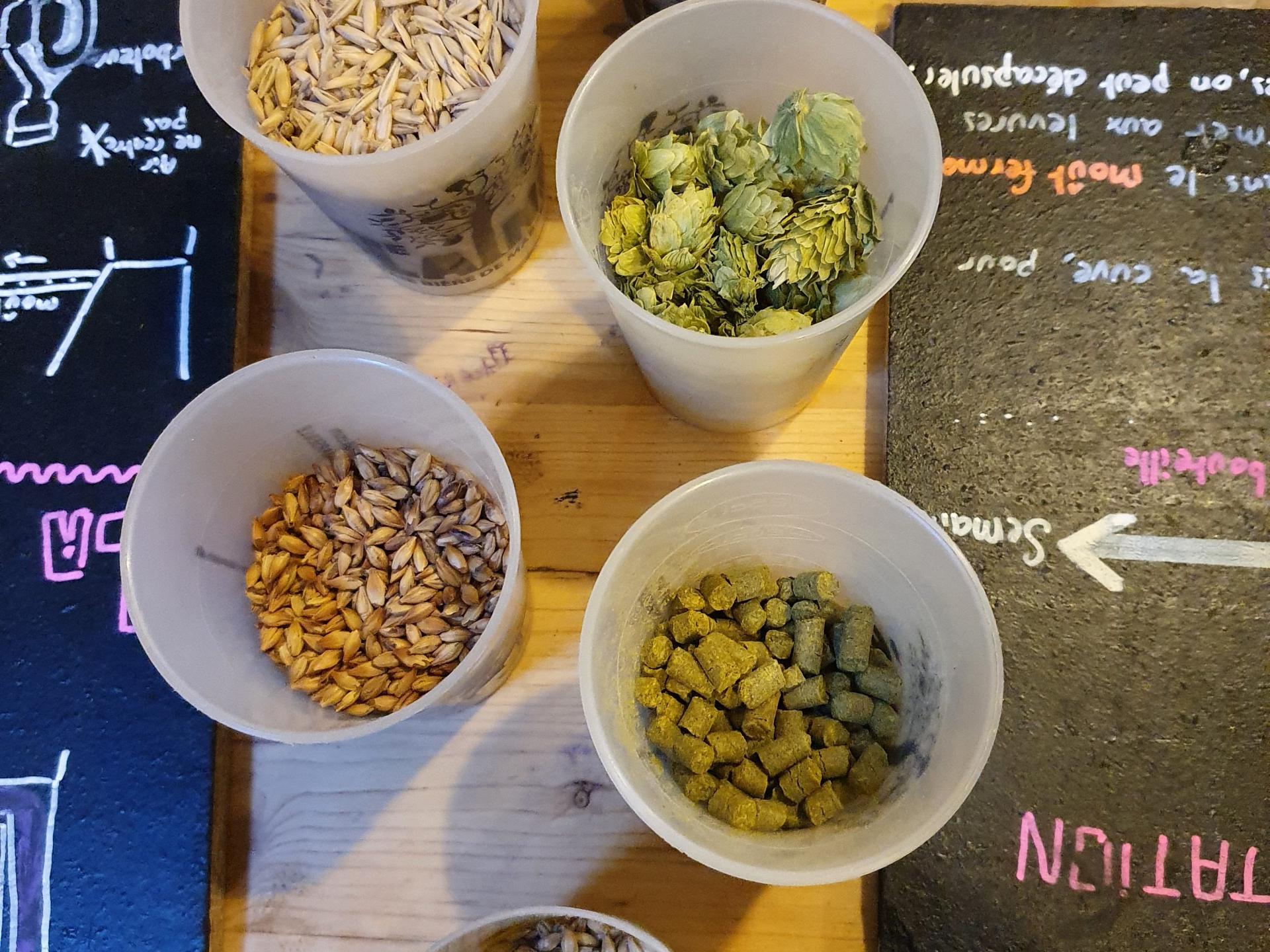 Introduction to beer brewing | Marseille Tourism