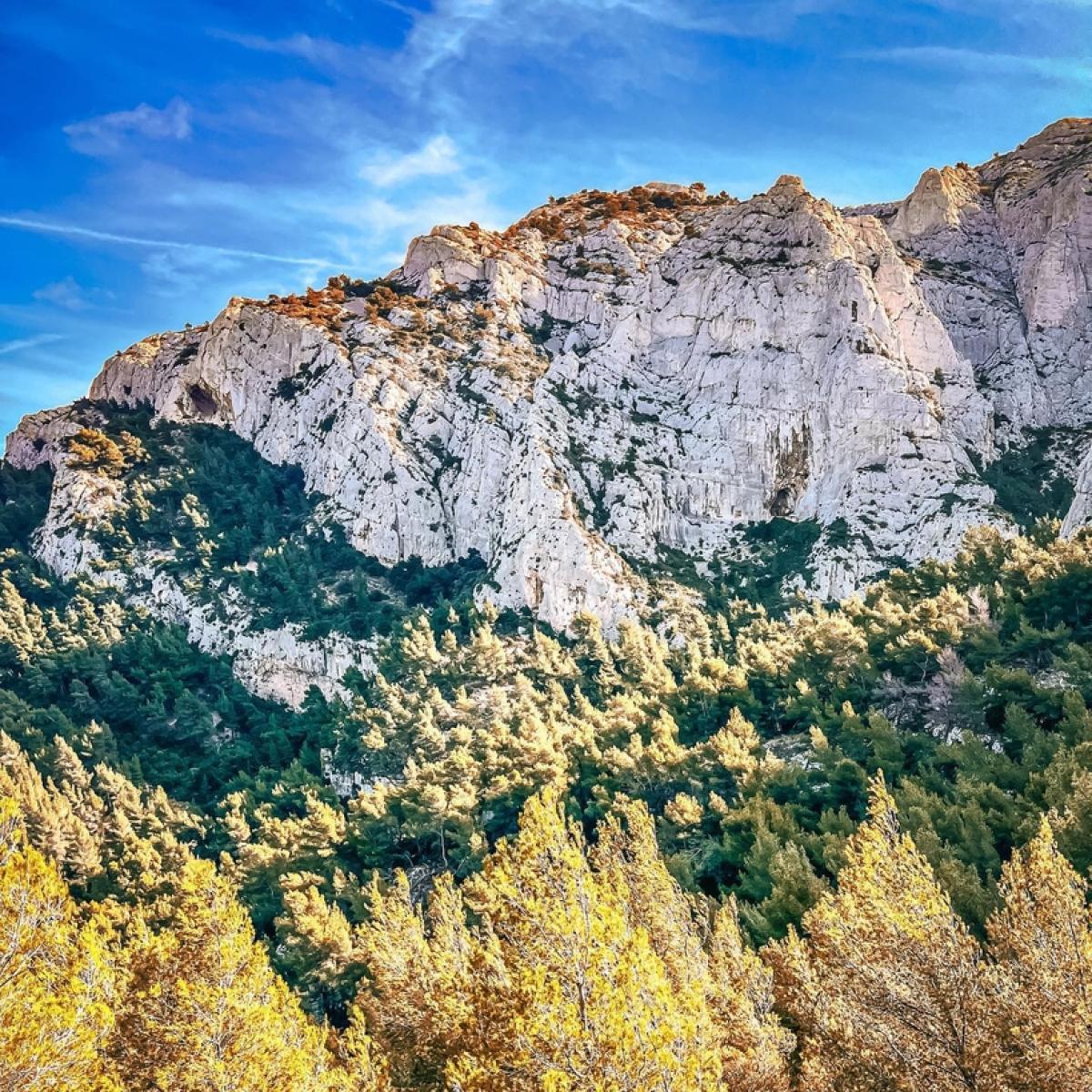 Official website of the Tourist Office of Marseille