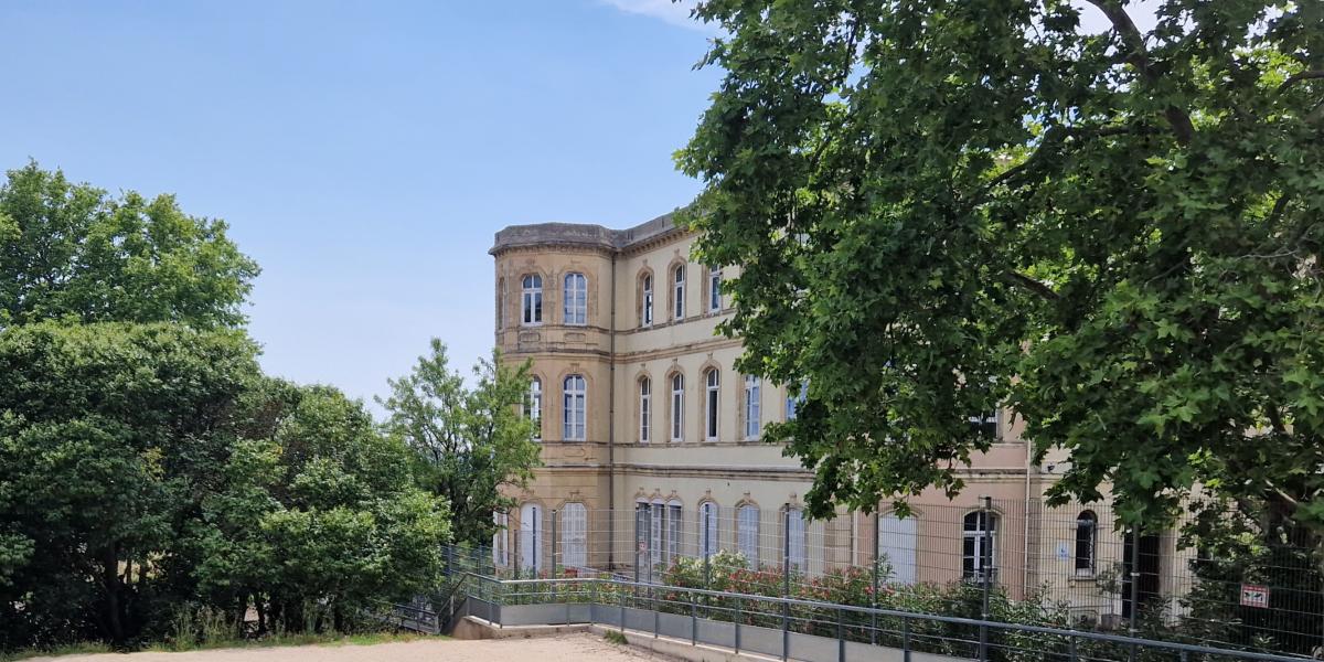 Bois Luzy à Marseille | Office de Tourisme de Marseille