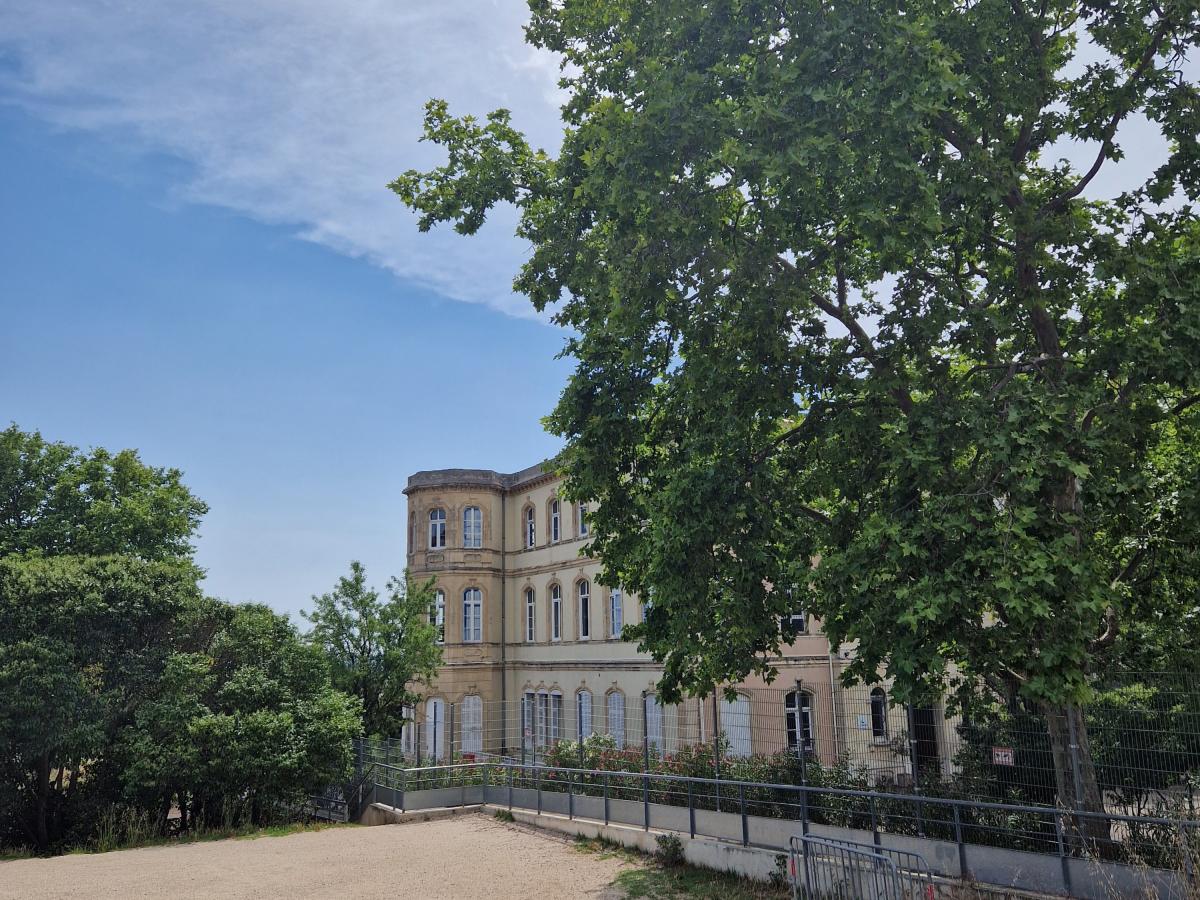 Bois Luzy in Marseille | Marseille Tourism