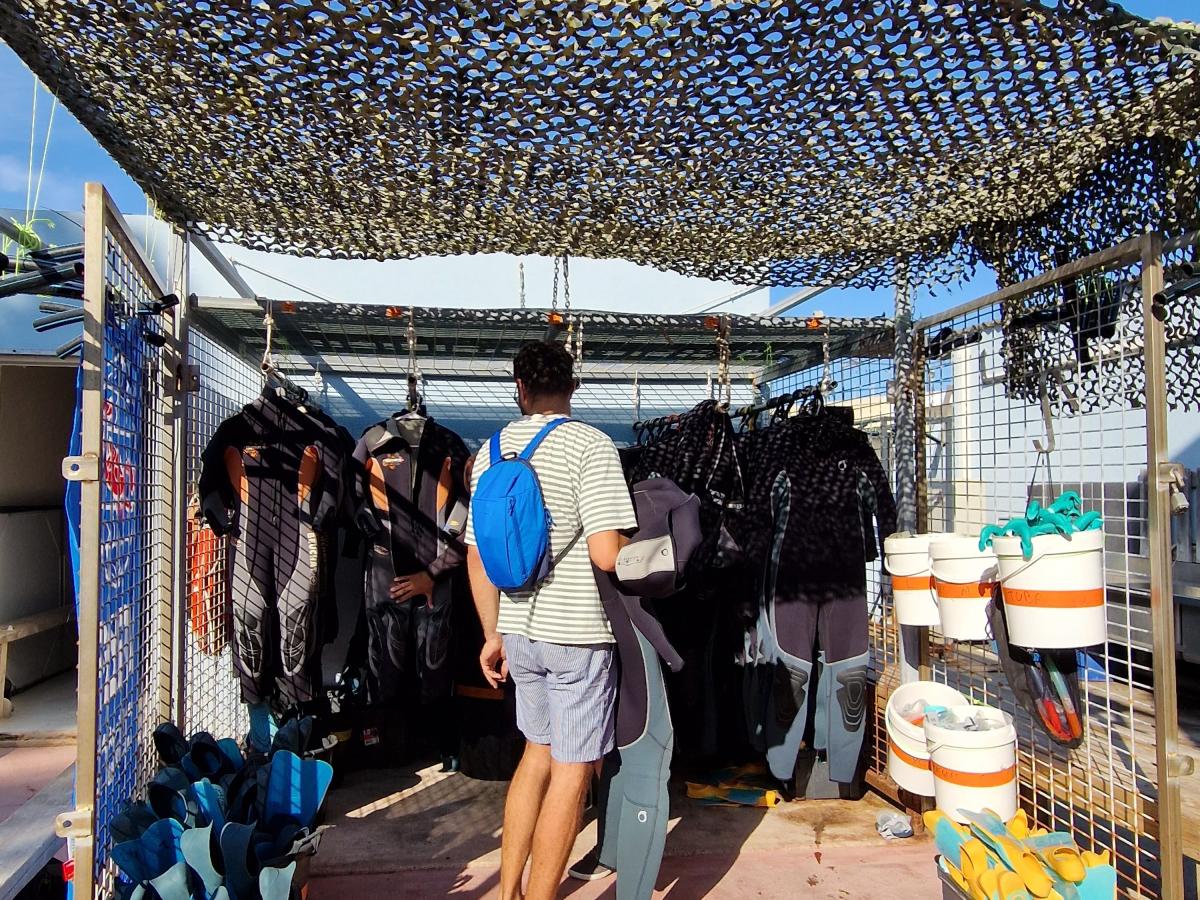 Sortie snorkeling dans les calanques | Office de Tourisme de Marseille