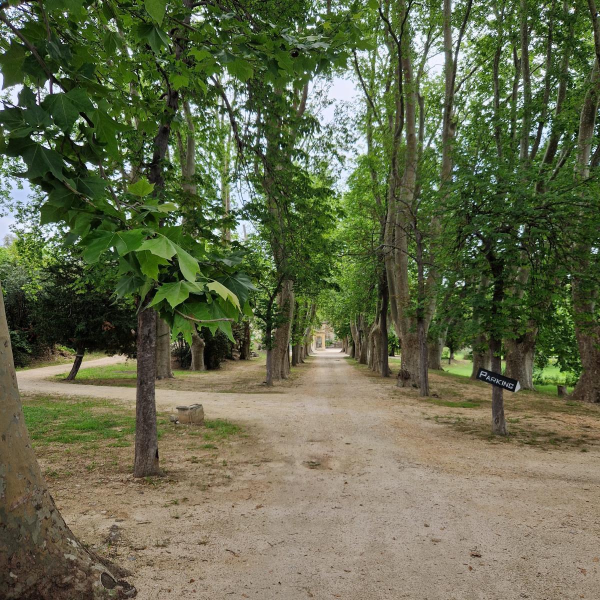 Sainte-Marthe à Marseille | Office de Tourisme de Marseille