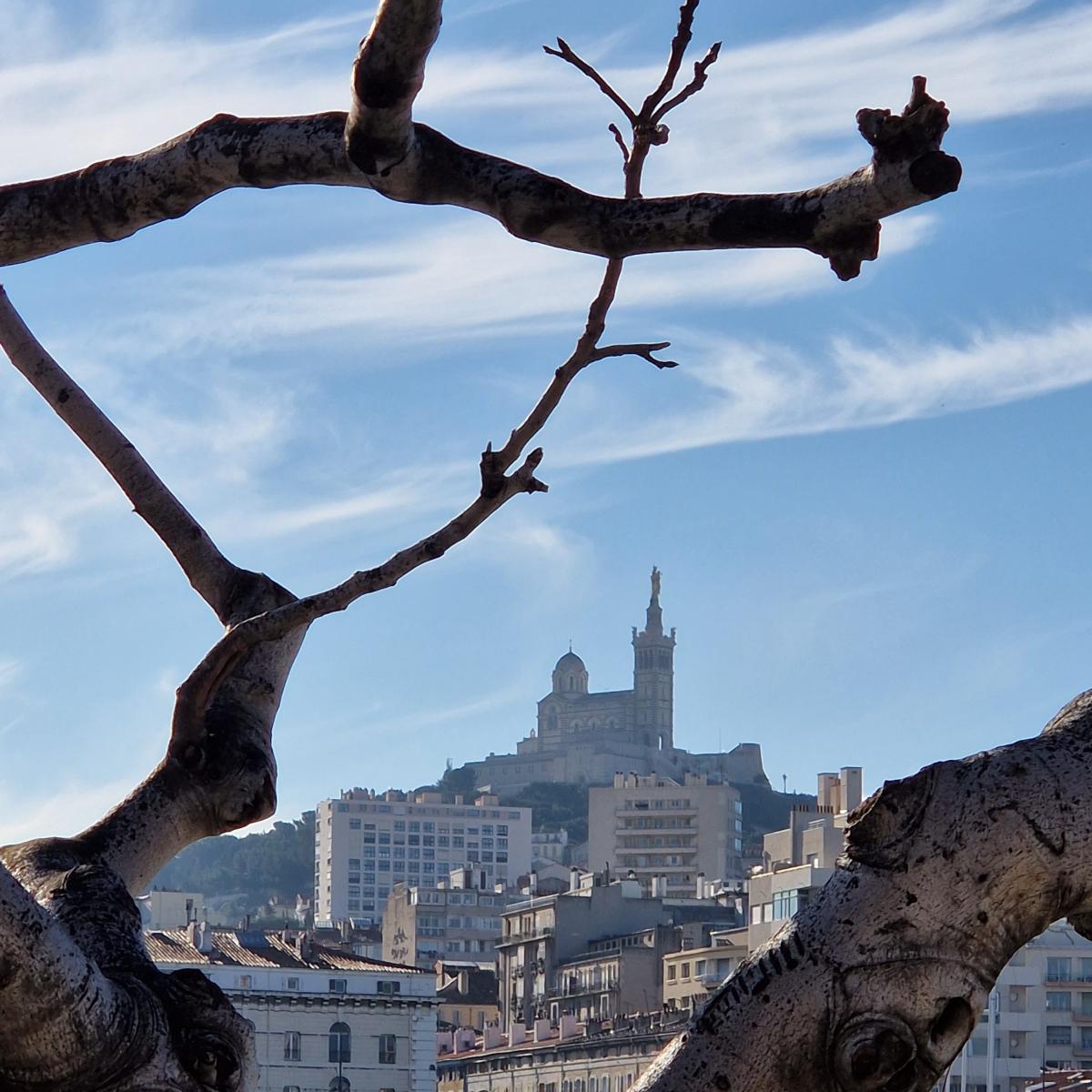 Pass Marseille | Office de Tourisme de Marseille