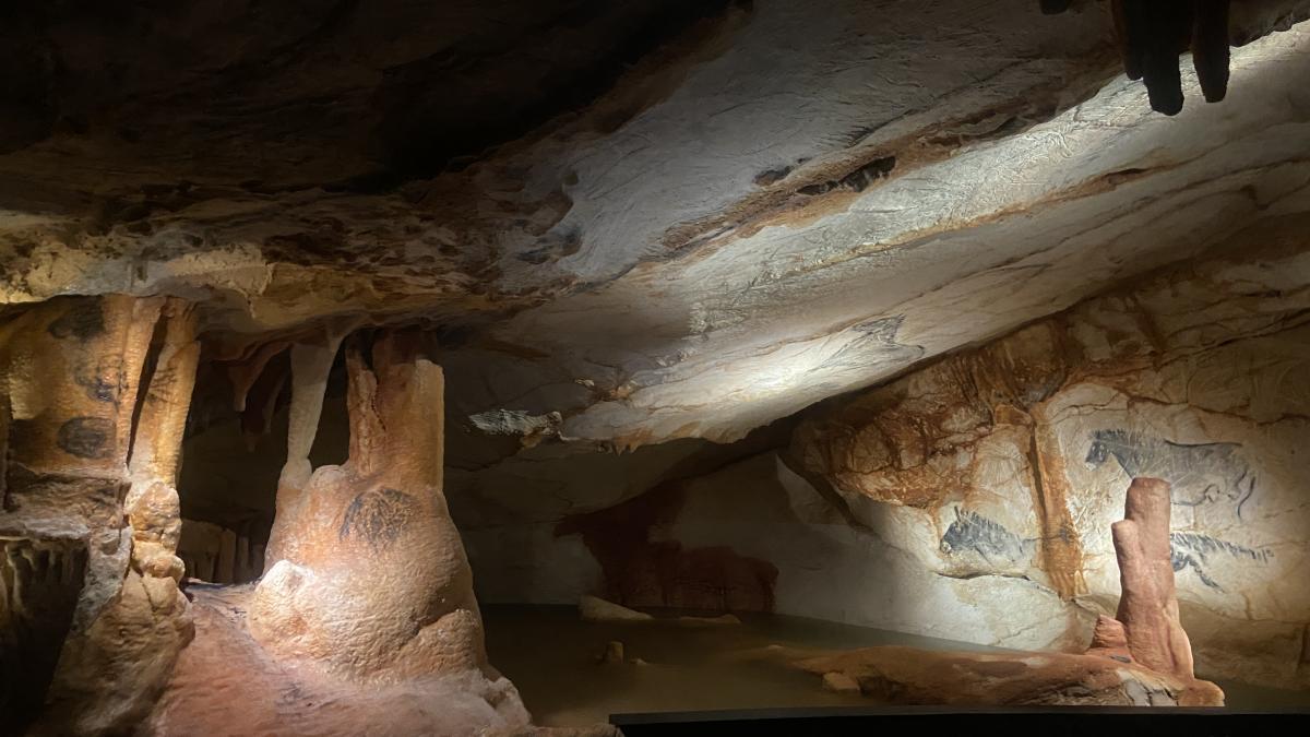 Cosquer, a guided tour of the prehistoric cave just a stone’s throw ...
