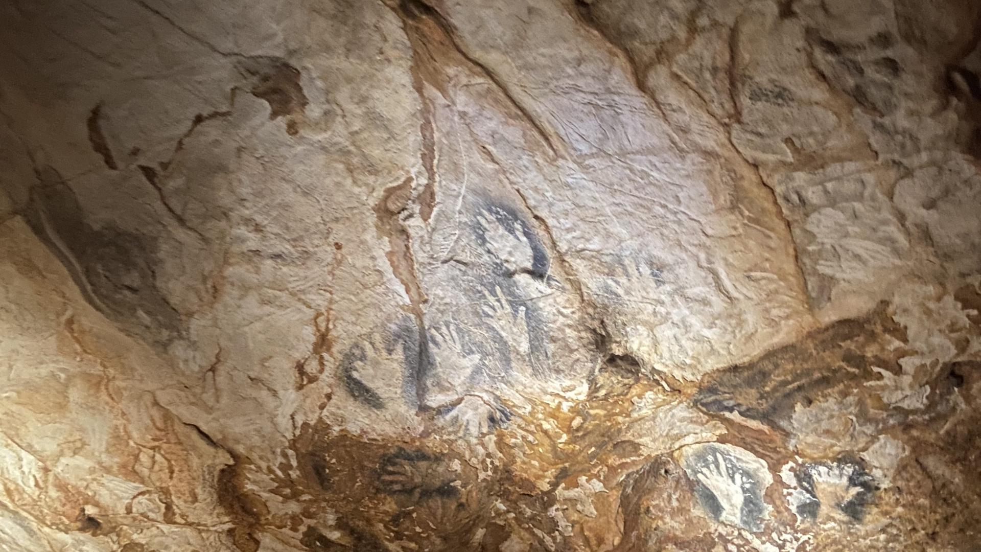 Cosquer, a guided tour of the prehistoric cave just a stone’s throw ...