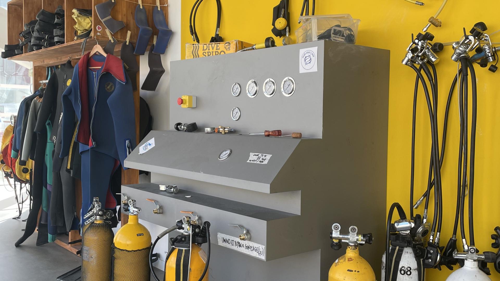 Cosquer, a guided tour of the prehistoric cave just a stone’s throw ...